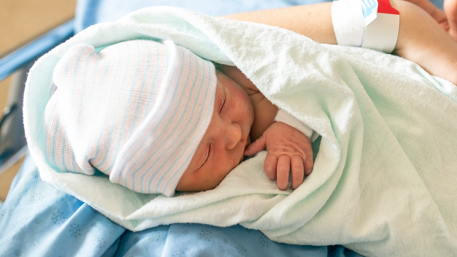 Stem Cells: advanced biological architecture, developmental ...